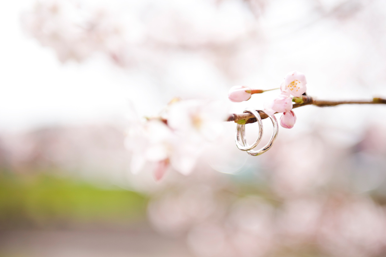 Art of wedding bridal show Kimi Photography